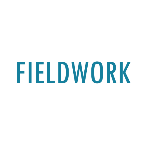 Indie Sewing Patterns – fieldwork